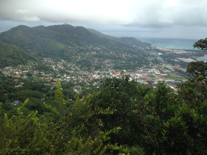 Elevating Infrastructure | Urbanisation and resilience | New Civil Engineer