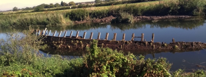 Crunching Carbon | Who is taking the initiative? | New Civil Engineer