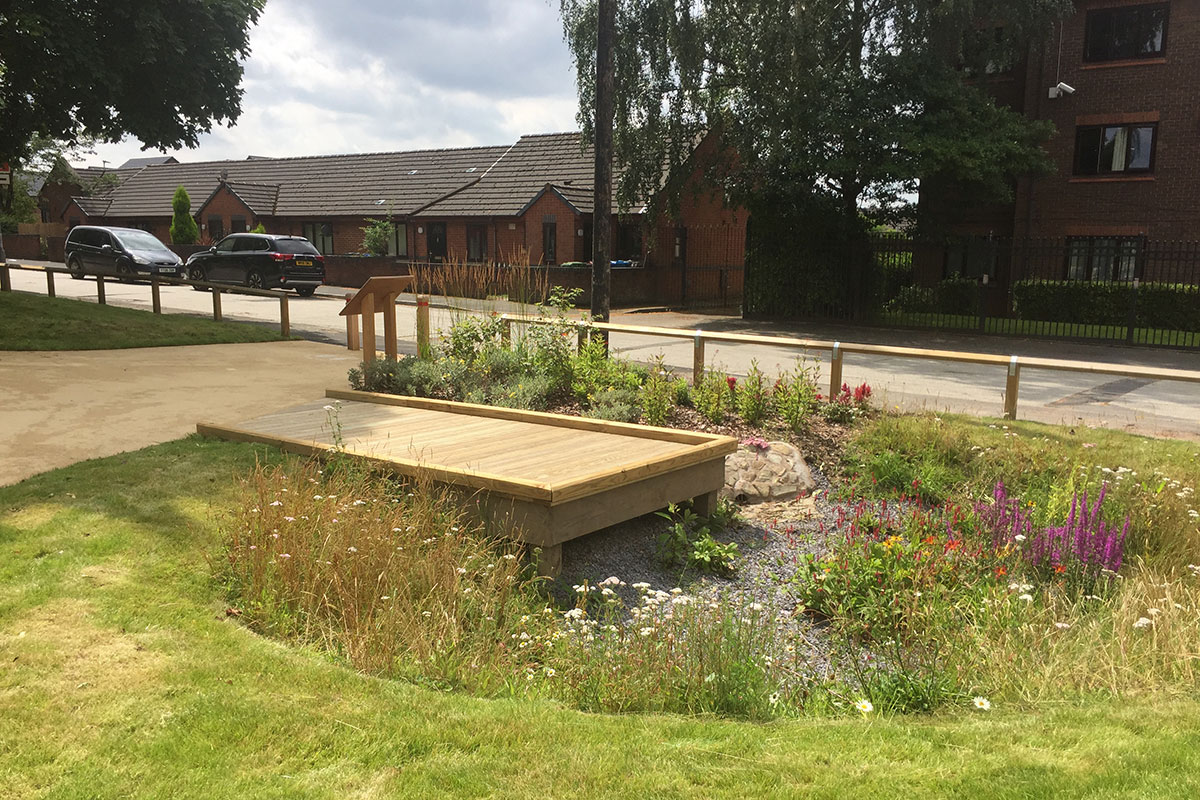 ‘Sponge’ park demonstrates nature-based flood protection potential ...