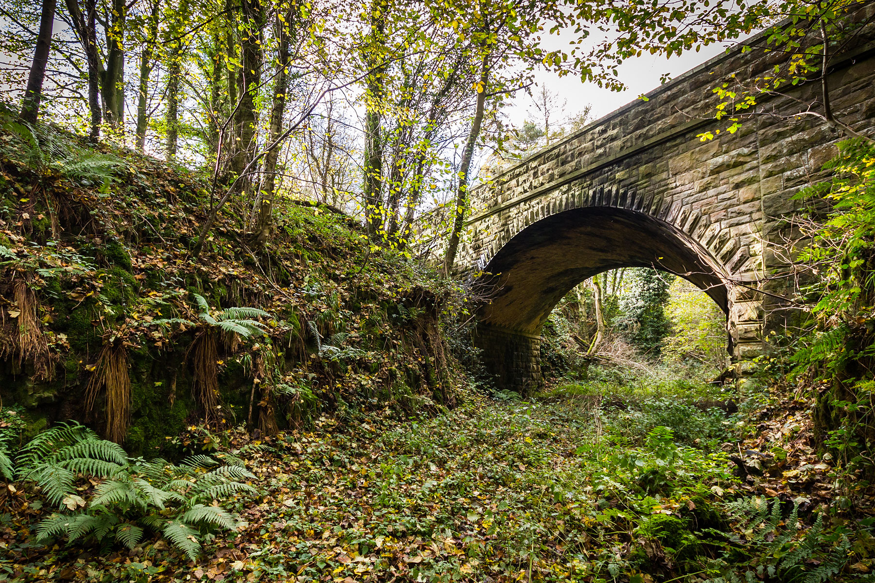 New guidance for engineers assessing masonry arch bridges | New Civil ...