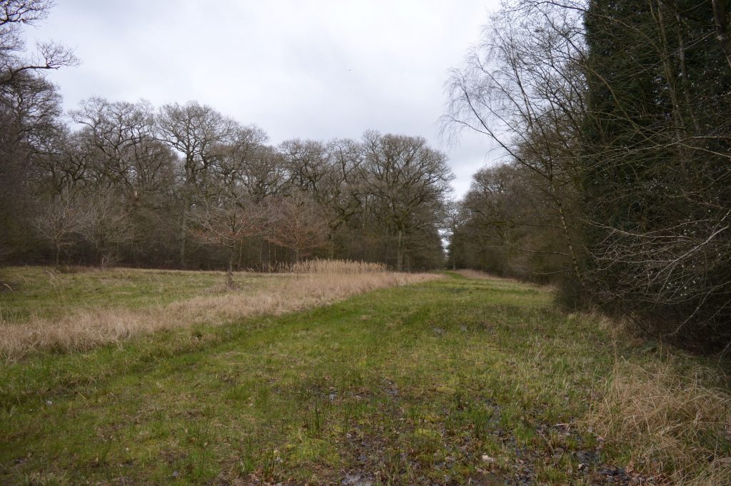 HS2 | Contractors wanted for Buckinghamshire bat tunnel | New Civil ...