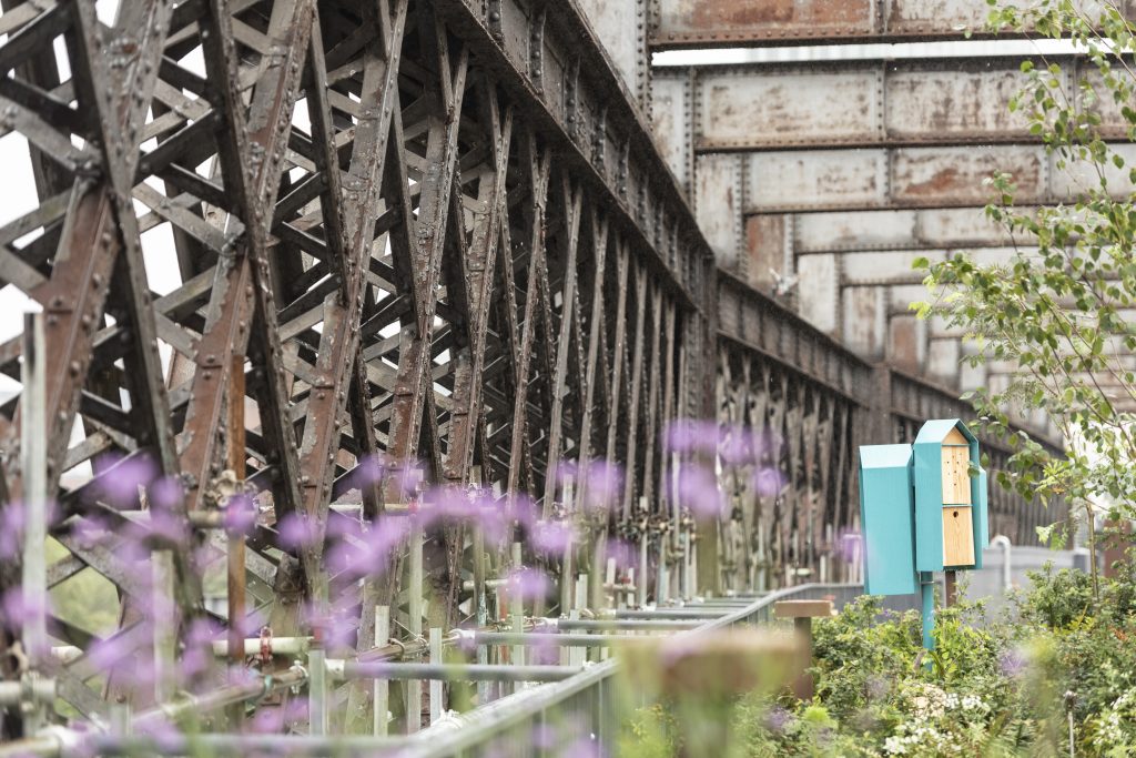 Urban sky park opens on abandoned Manchester railway viaduct | New ...