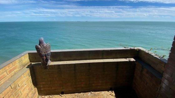 Plans submitted for private Isle of Wight tunnel to link house to cliff ...