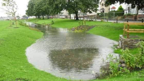 Benefits of sustainable drainage systems go beyond making urban areas ...