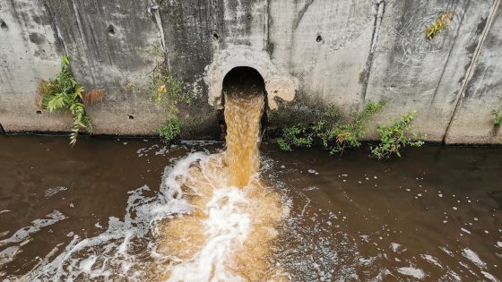 Water company pollution incidents in England surged by 60% in 2024 ...