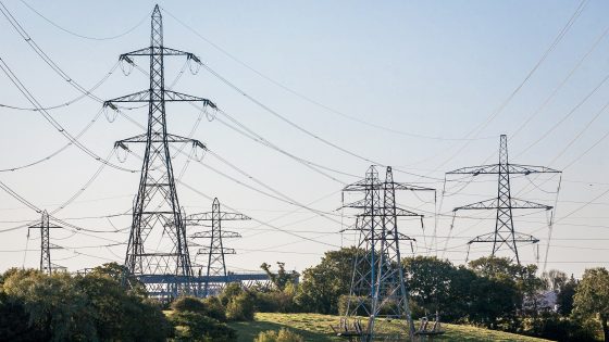Minister: unpopular pylon installations a ‘necessity’ but Whitehall ...