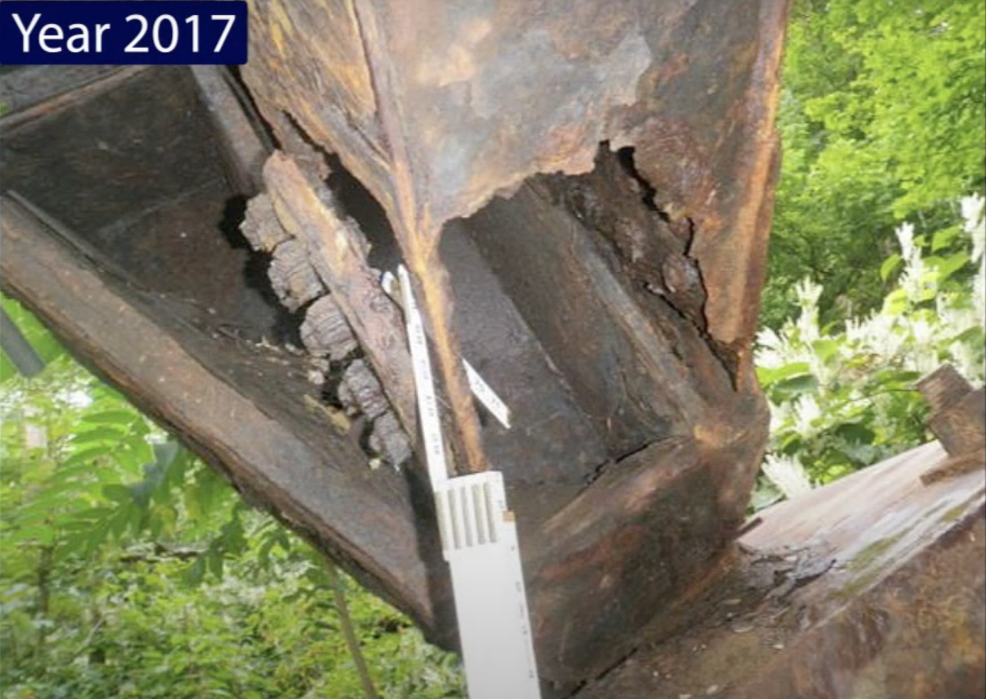 Fern Hollow Bridge collapse | Details emerge on years of neglect ...