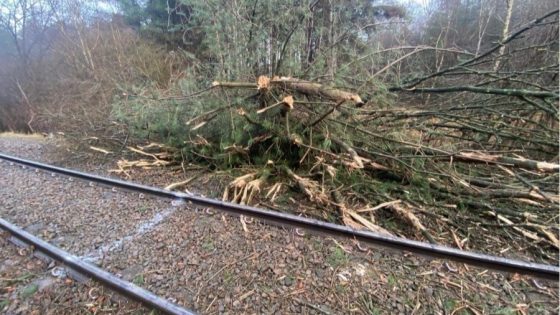 One injured after train strikes tree and derails near Thetford | New ...