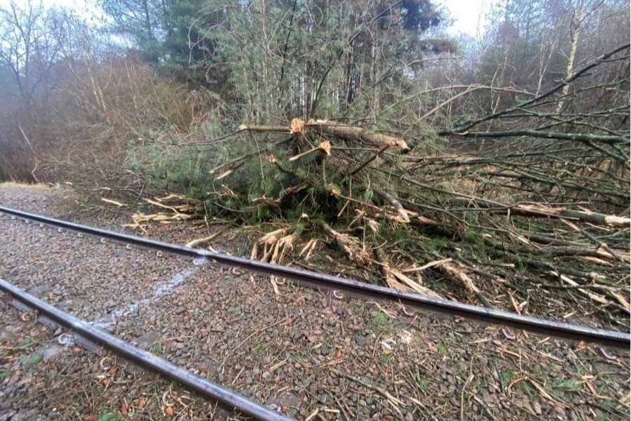 One injured after train strikes tree and derails near Thetford | New ...