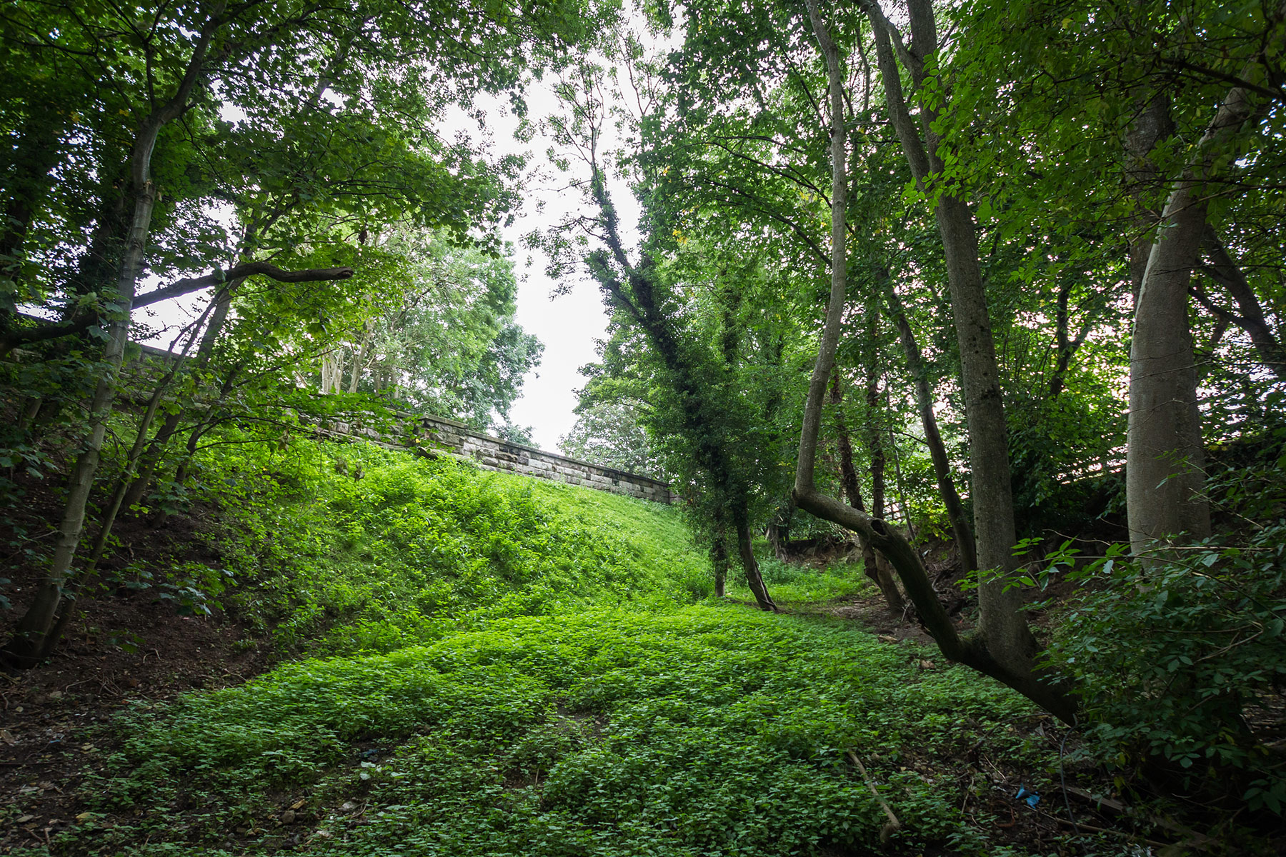 National Highways’ infill of historic North Yorkshire rail bridge comes ...