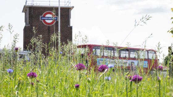 Industry and campaigners welcome TfL green infrastructure and ...