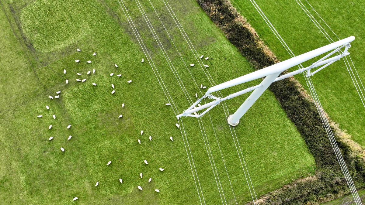 All T-pylons fully wired up in major milestone for connecting Hinkley ...