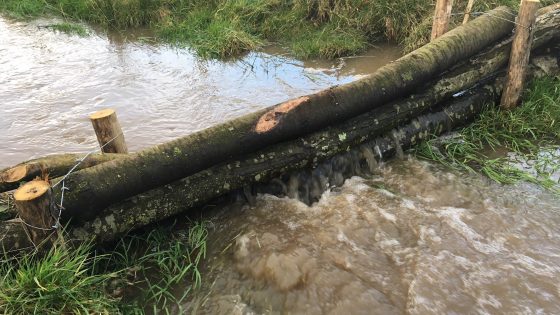 Benefits of natural flood management are 10 times the cost, study shows ...