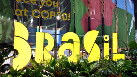 Cop30 denies Amazon rainforest felling to build new highway is for ...