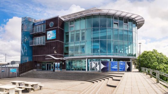 Plymouth announces bidders’ day for £4.2bn heat network development ...