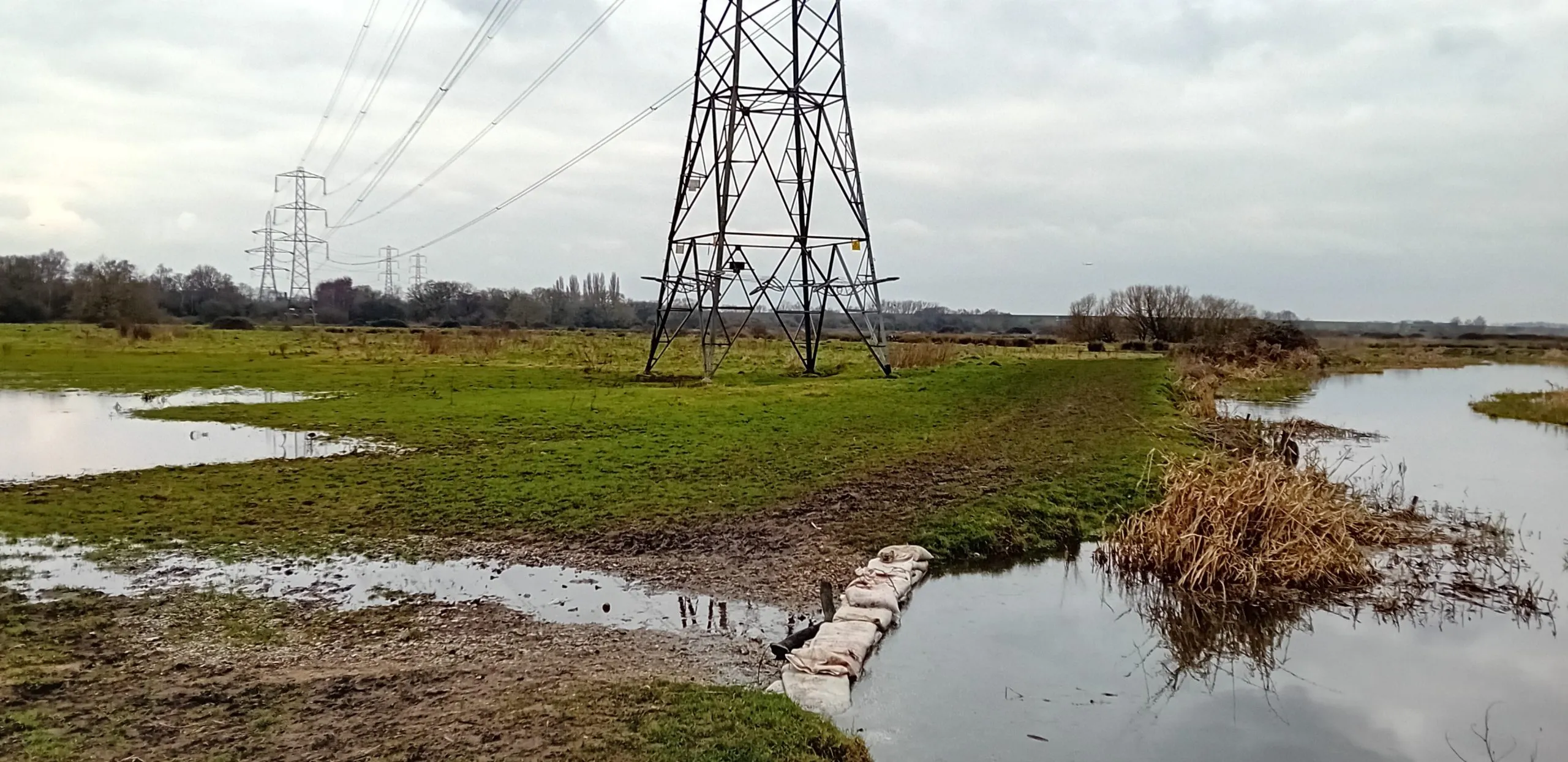 Staines-on-Thames: A case study of groundwater flooding exacerbated by ...