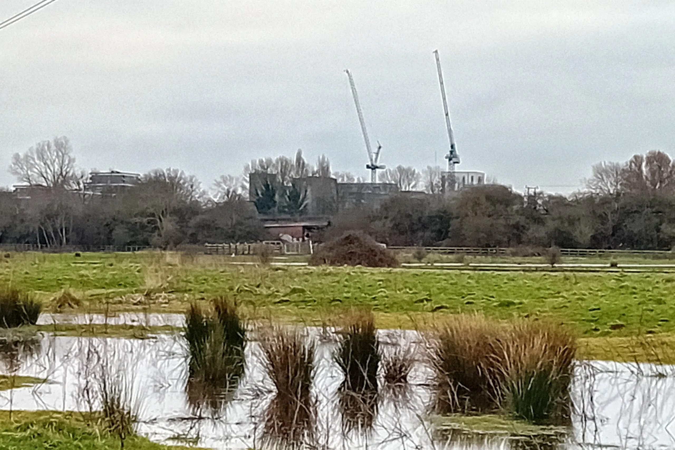 Staines-on-Thames: A case study of groundwater flooding exacerbated by ...