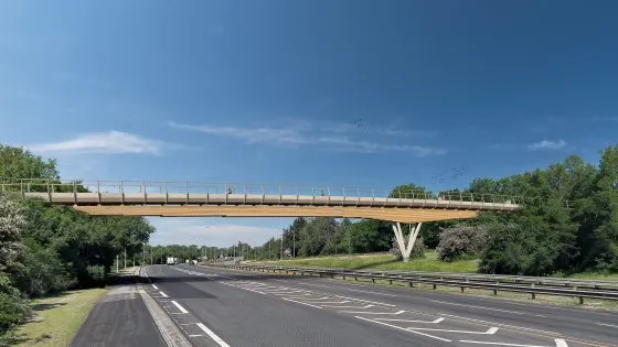 Arup & Seán Harrington win Lower Thames Crossing low carbon footbridge ...
