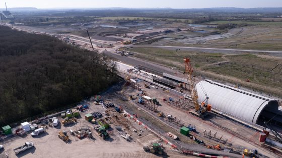 Exclusive: HS2 considered over 20 bat protection measures before opting ...