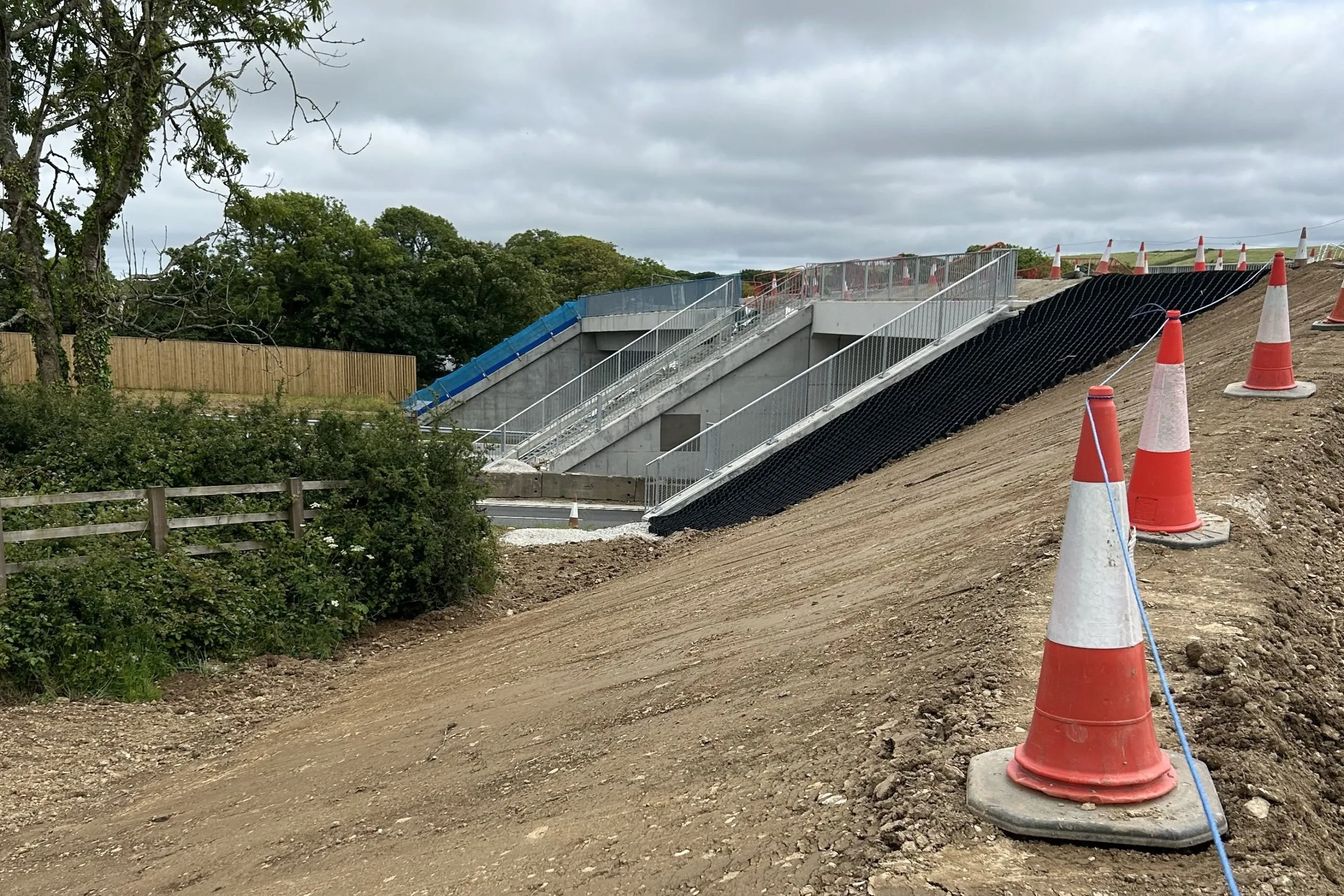 Dual-deck green bridge built in Cornwall and path for amphibians ...