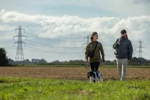 National Grid publishes plan to invest £35bn in UK transmission from ...