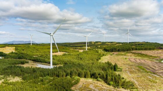 From words to wind turbines: Making Ireland’s ambition a reality | New ...