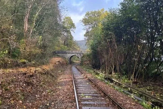 Conwy Valley line services resume after £1.4M resilience works ...