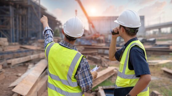 Consultants press Government on ‘fragmented planning, disparate ...