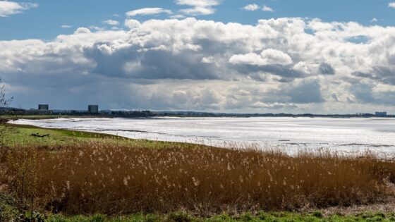 Latest news on major civil engineering and infrastructure projects