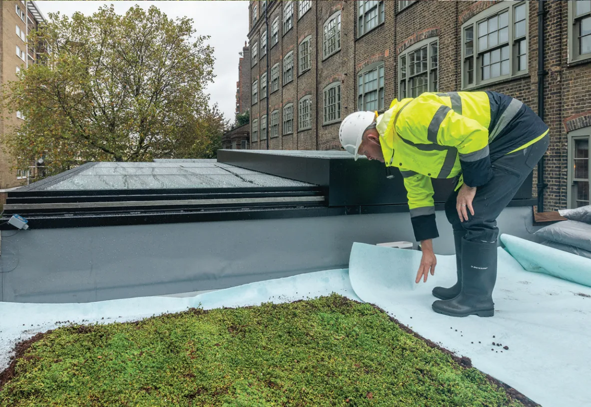 Interview: Aco’s new guide promotes wider use of blue roofs despite ...
