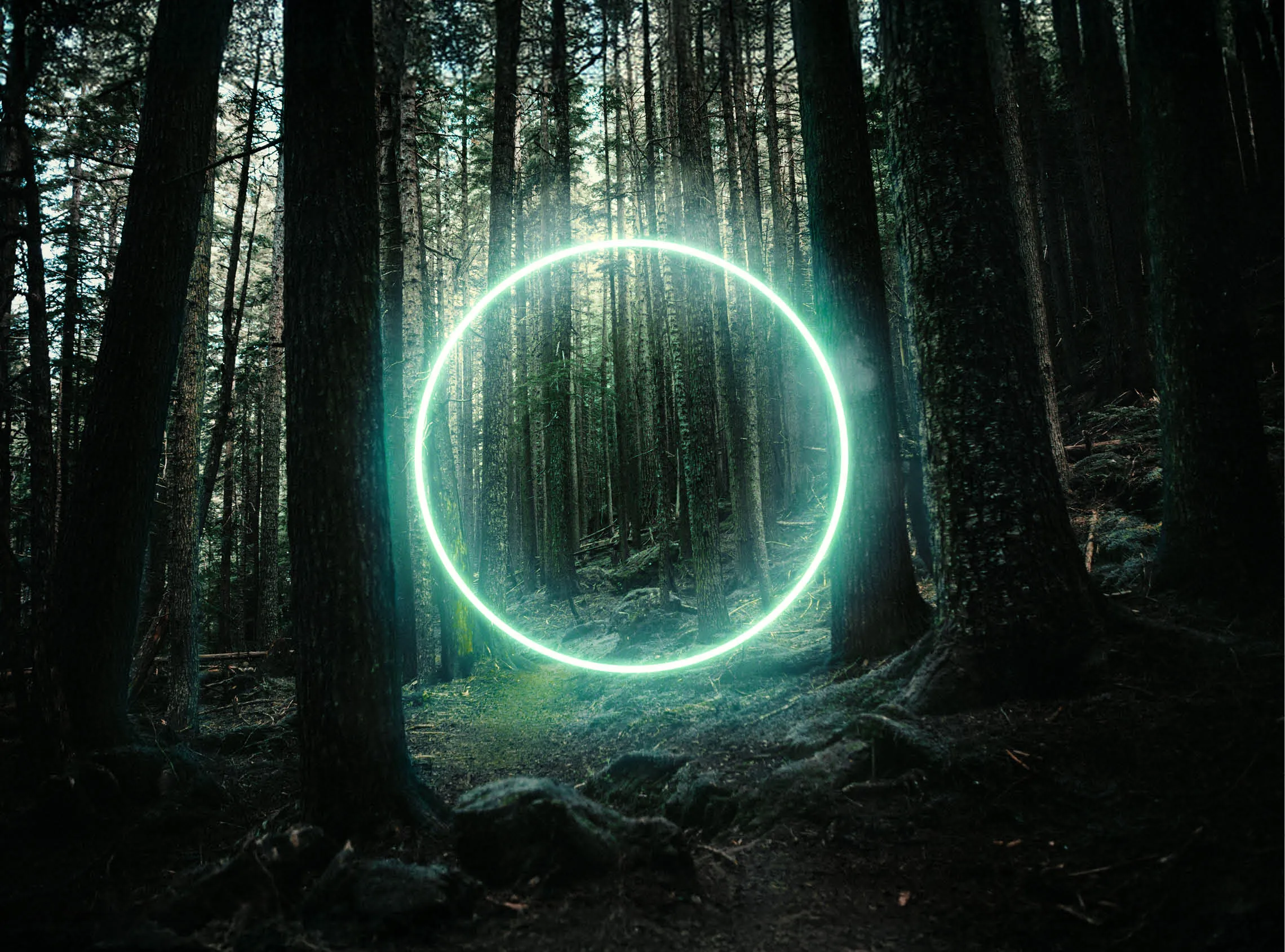 How new digital technologies are paving the way for more ambitious ...